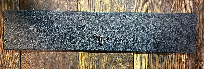 Fender Twin Reverb BACK PANEL 70’s-80’s | Reverb