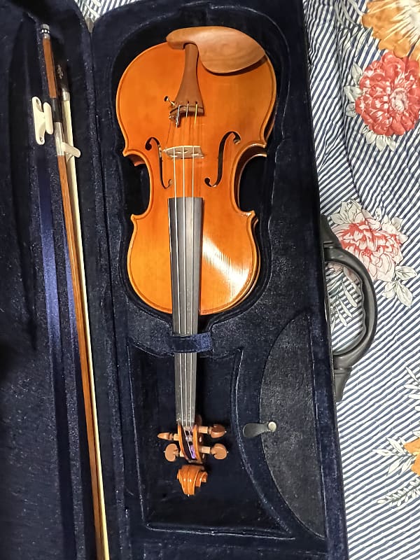 DZ STRAD 220 Violin 3/4 with open clear tone | Reverb