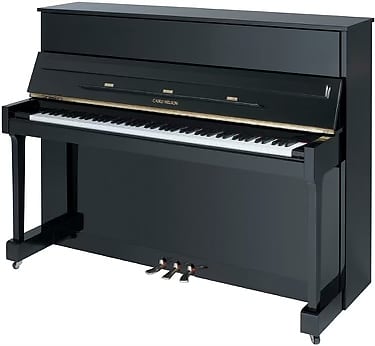 Cable Nelson CN116-PE CN116 2009 Polished Ebony Black | Reverb