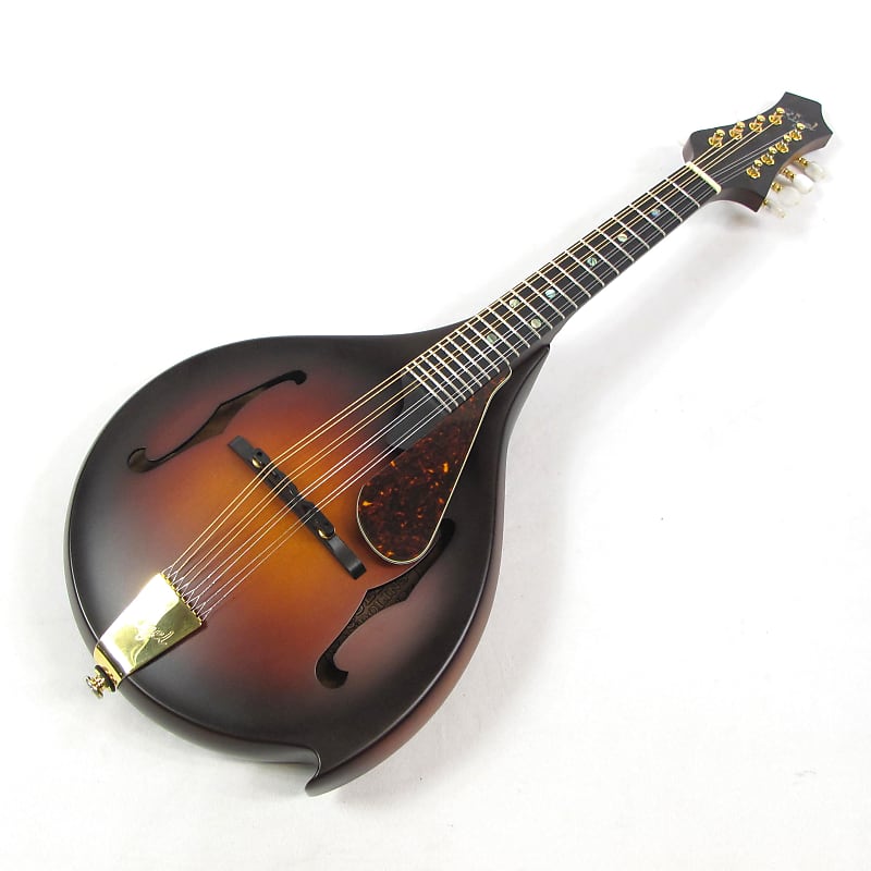 Rigel Comet Mandolin w/Ameritage AME-80 Case | Reverb