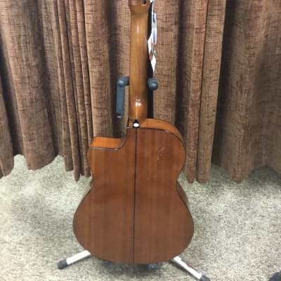 Washburn Classical With Pickup | Reverb