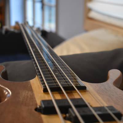 Pedulla Interceptor Fretless (Buzz) Bass... Extremely Rare | Reverb