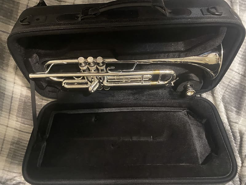 S.E. Shires TRQ10S Bb Trumpet | Reverb