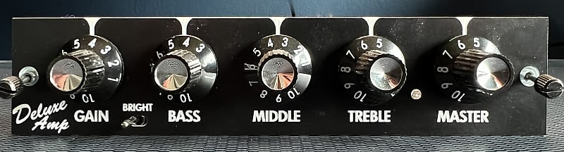 Randall Deluxe MTS/ Synergy Module Gigmods | Reverb