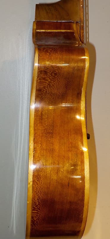 Randolin M2-WV 2018 cherry | Reverb