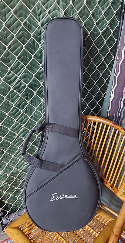 Eastman Octave Mandolin gig bag 2024 - Cordura | Reverb