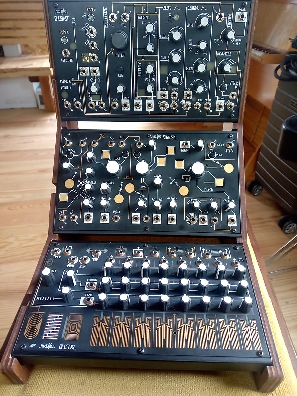 Make Noise Strega 0 CTRL 0 Coast | Reverb