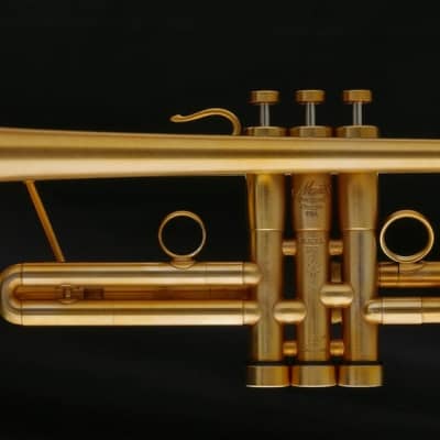 Pre-Owned Monette Raja P3-STC Trumpet in Brushed Gold Plate! | Reverb