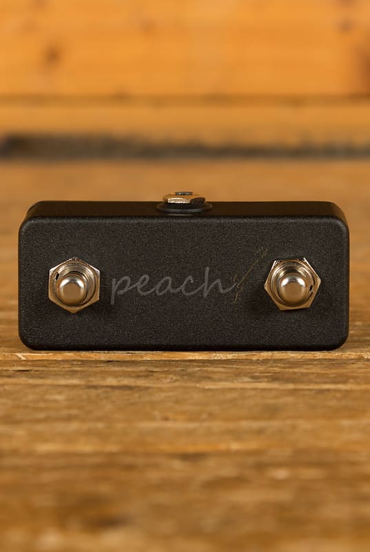 2 Button footswitch for use with HX Stomp | Reverb