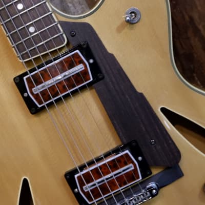 Cort BECK-6 Joe Beck Signature w/ Charlie Christian style | Reverb