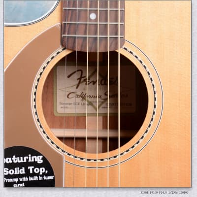 Fender Sonoran SCE PM1 Electric box wooden guitar | Reverb