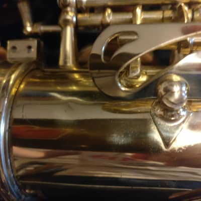 Palm Winds Alto Saxophone | Reverb