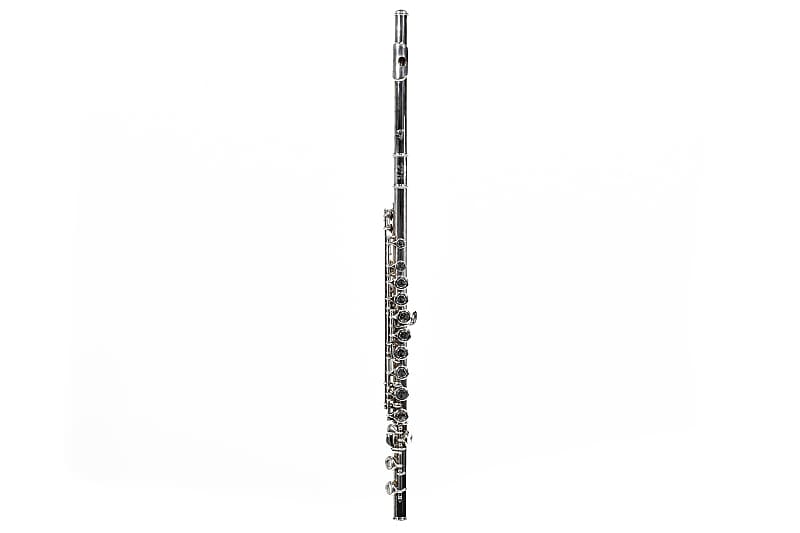 Buffet Crampon Flute Occasion | Reverb