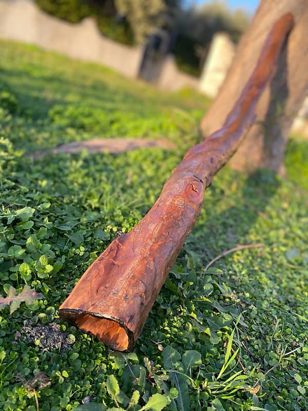 Didgeridoo Yidaki ,yoga musicoterapia | Reverb