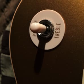 RelicMaster Handcrafted Vintage Amber or Bone Toggle Switch | Reverb