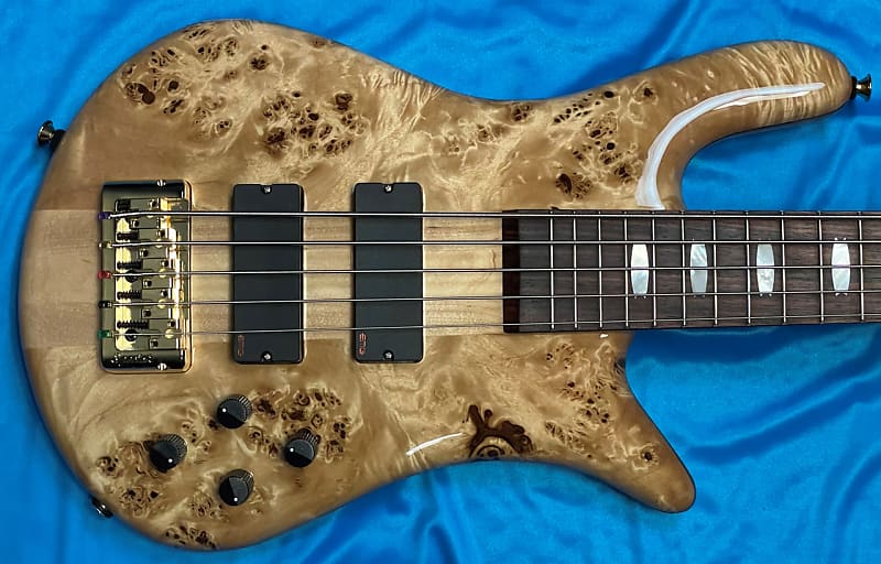 Spector Euro 5LX, Natural Poplar Burl with Rosewood | Reverb