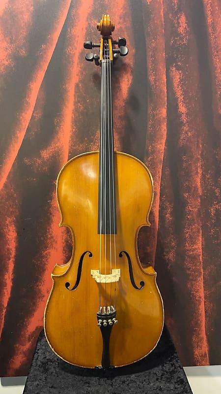 Knilling Bucharest Cello (San Antonio, TX) | Reverb