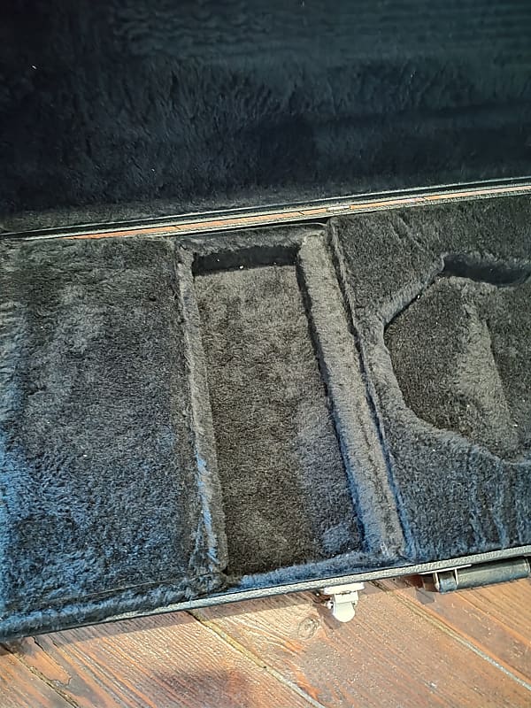 ESP LTD Electric Guitar Case | Reverb