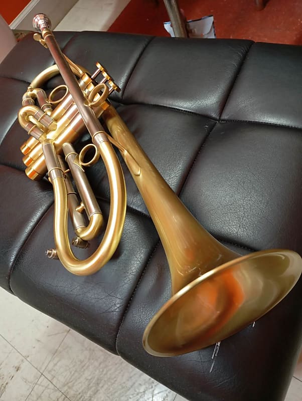 BerkeleyWind Berkeleywind Bb Flumpet Horn w/Flumpet | Reverb