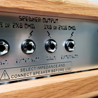 D-Tone Amps D-Tone Amps SSS head (Dumble Steel String Singer | Reverb