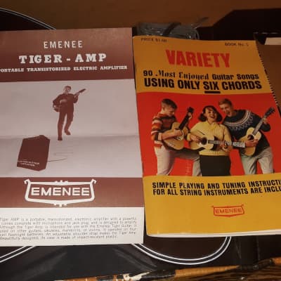 1965 Eminee Tiger Guitar /Amp ORIGINAL COMPLETE Tiger 1965 - | Reverb