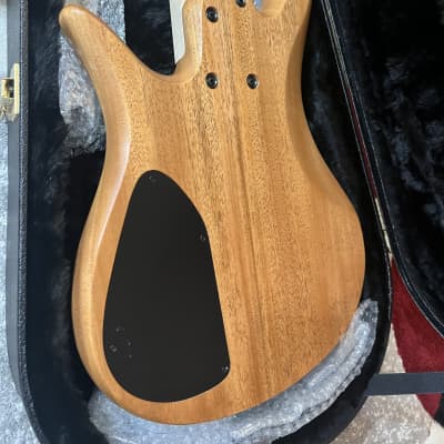 Fodera Yin Yang 5 Standard Bass Guitar Blister Maple with | Reverb