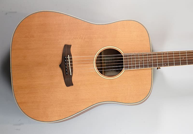 TW28 CSN Dreadnought, Recent | Reverb