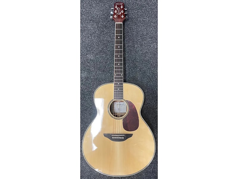 Fairclough Nightingale Acoustic Guitar with Built in Tuner in | Reverb
