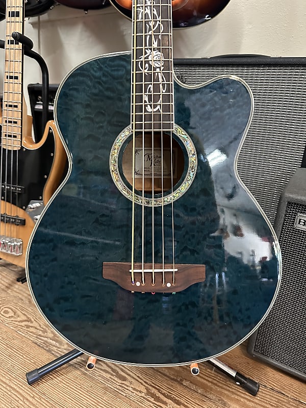 •RARE• Michael Kelly Dragonfly 5-String Acoustic Bass | Reverb