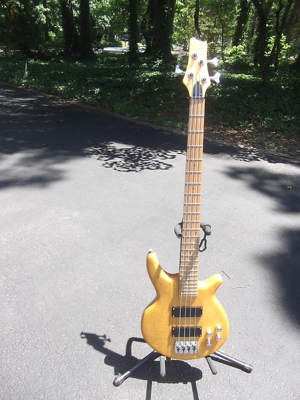 Jim Reed JR-THB 4 Tiger, Custom-Made Italian Bass W/ Case | Reverb