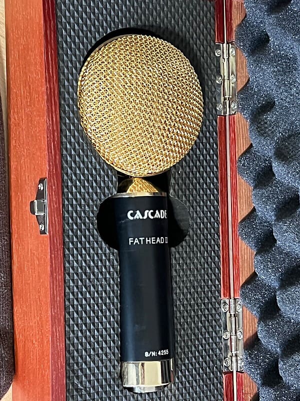 Cascade Fat Head II 2000s - Black and Gold | Reverb