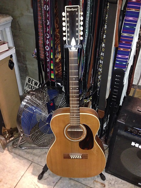 Harmony 12 String Project | Reverb