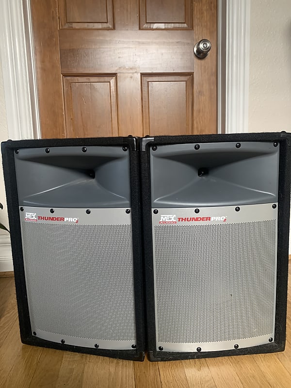 Pair of MTX Audio Thunder Pro 2 | Reverb