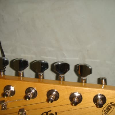 FIREFLY FFPTH THINLINE SEMI HOLLOW BODY TELE ELECTRIC GUITAR | Reverb