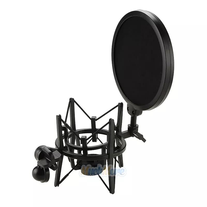 Double Layer Studio Microphone Mic Wind Screen Mask Big | Reverb