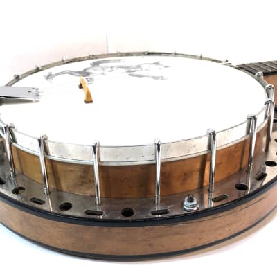 Stella vintage tenor banjo with painted head The banjo fox | Reverb