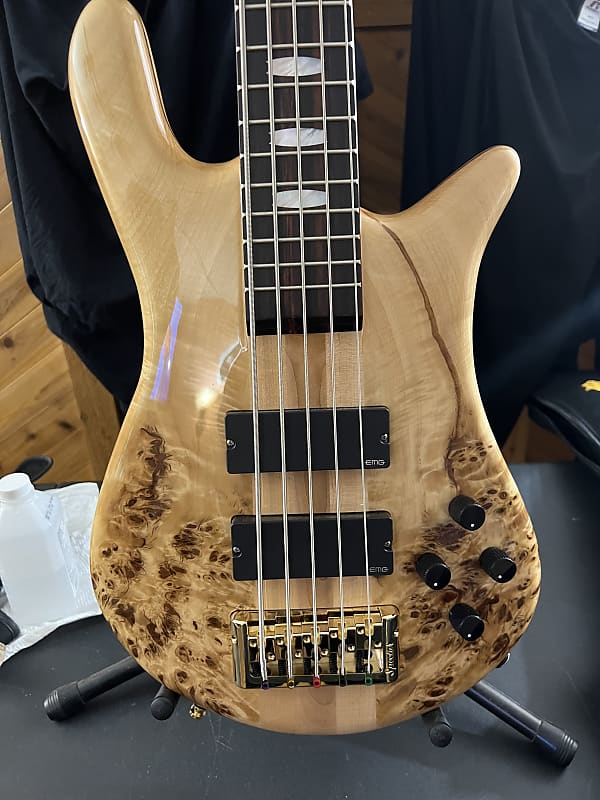 Spector European 5LX 2024 - Clear | Reverb