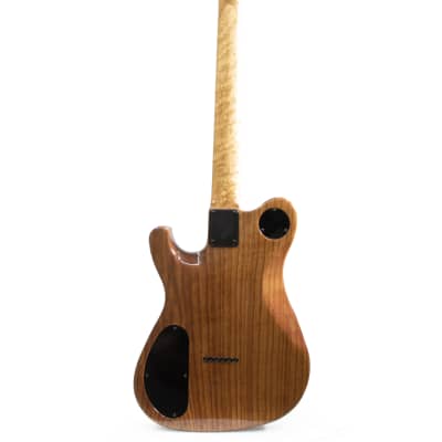 Warmoth Meadowhawk 2023 - Buckeye Burl Clear Gloss | Reverb