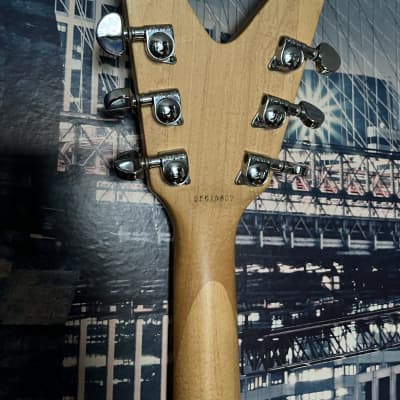 Washburn 332 Dime DimeBolt Dimebag Diamond Darrell | Reverb