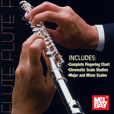 Flute Fingering Chart | Reverb