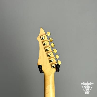 Raven West S-Style Guitar with Floyd Rose Quilted Cherry - | Reverb