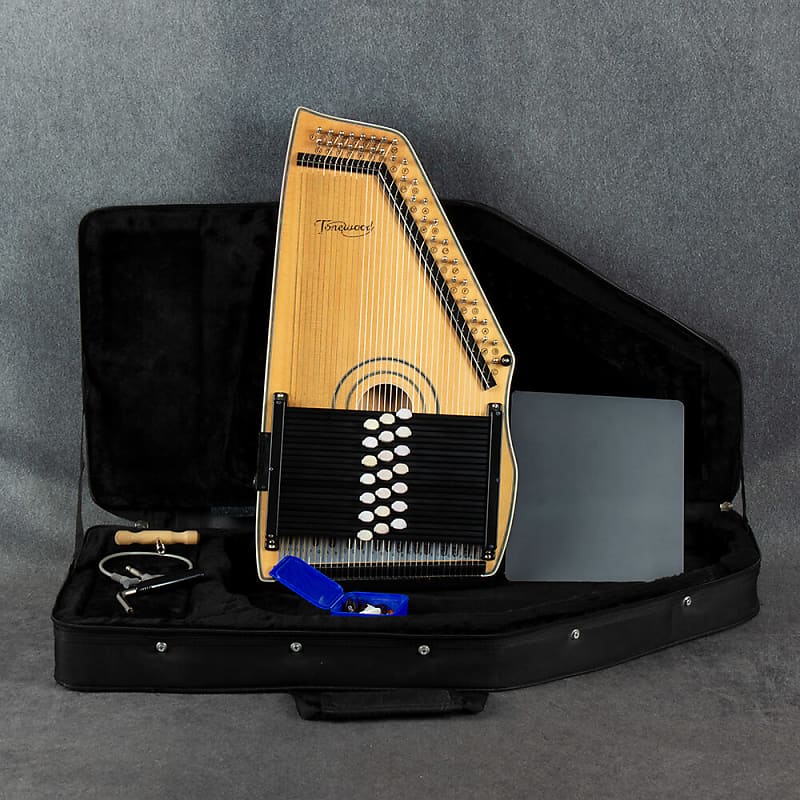 Tonewood 21 Bar Autoharp with Pickup - Hard Case - 2nd Hand | Reverb