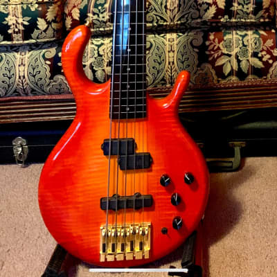 Pedulla Pentabuzz 5 String Fretless Bass | Reverb