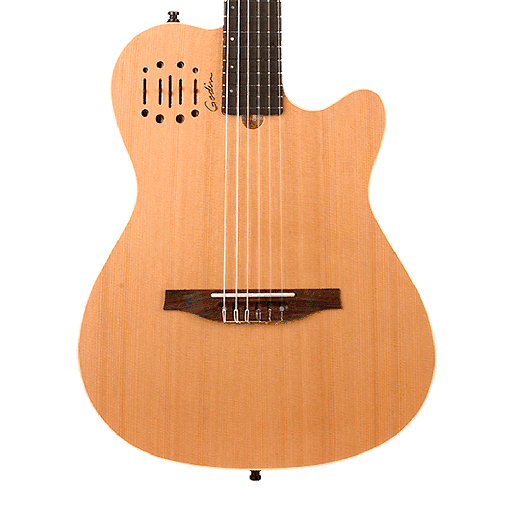 Godin Multiac Encore SG Nylon Classical w/ Electronics | Reverb France