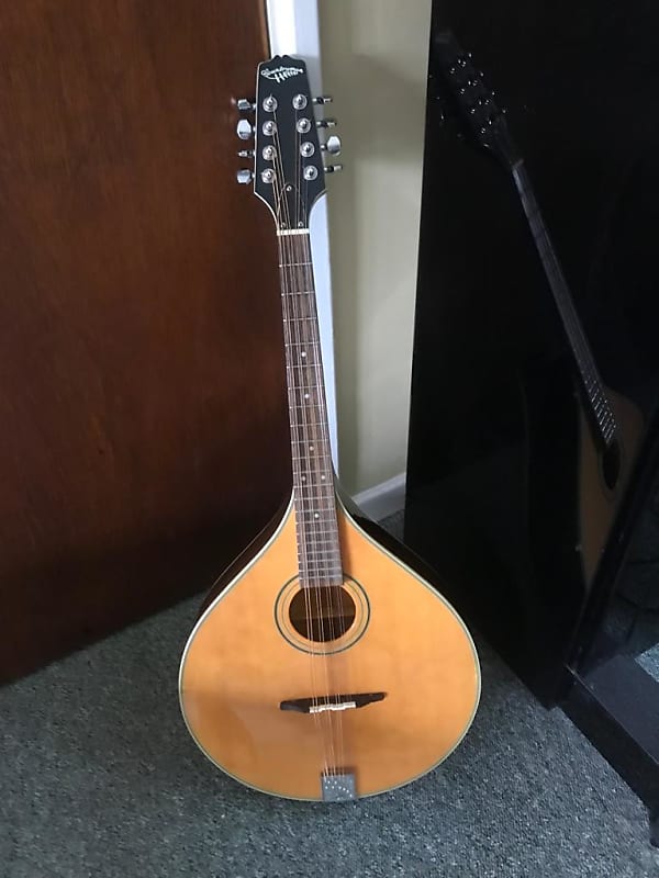 Countryman 8-string Mandola with hard case | Reverb UK