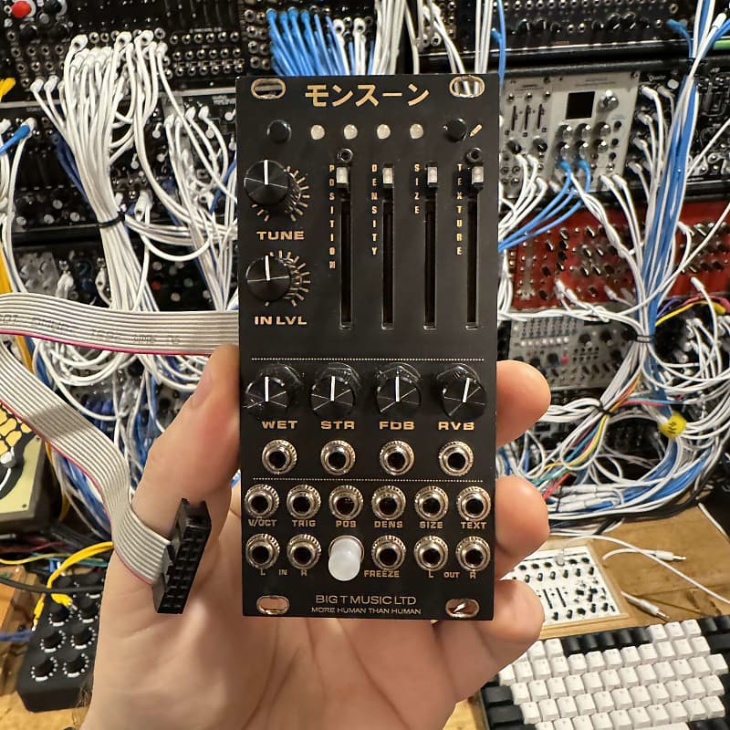 Big T Music Monsoon Granular Looping Delay Reverb Module | Reverb