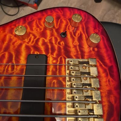 Warmoth 5 string bass | Reverb