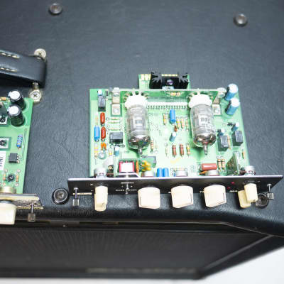 Randall MTS RM100 w/ Salvation Audio MDA board. | Reverb