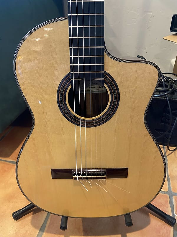 Kenny Hill New World Player 650 Cutaway with Barbera Pickup | Reverb