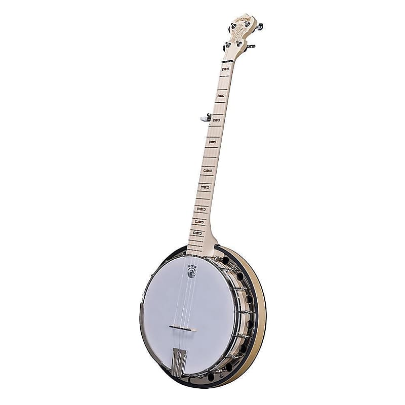 Deering Banjos Goodtime Special 5-String with Resonator | Reverb